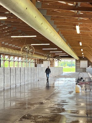 The Future of the Herd | Dairy Herd