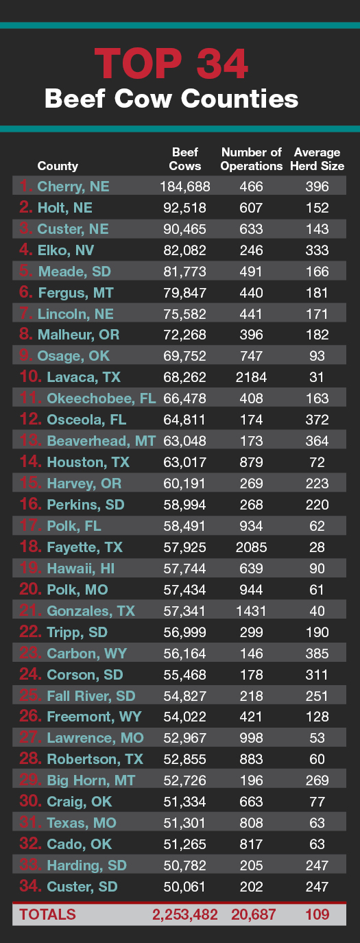 America's Top 34 Beef Cow Counties - Corrected | Drovers