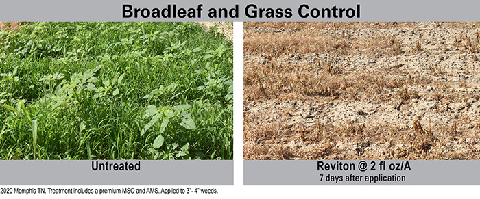 Get Ready for Burndown Like You’ve Never Seen Before | AgWeb