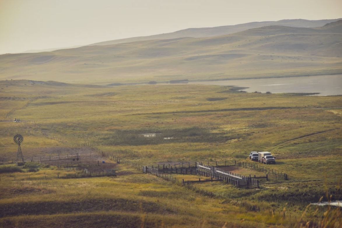 Give It a Name: Family Ranch Adds Value to Common Practice with New ...