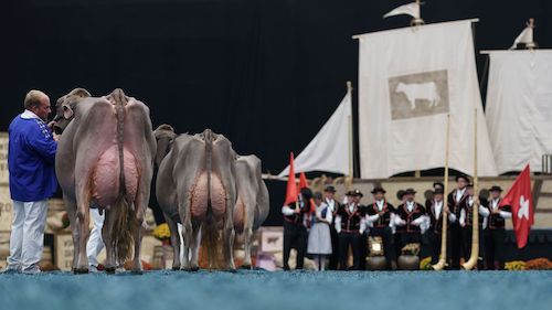 Madison, Wisconsin: The Nucleus of the Dairy World | Dairy Herd