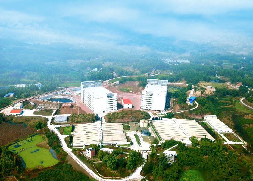 High-Rise Piggeries: The Future of Pork Production in China | Pork Business