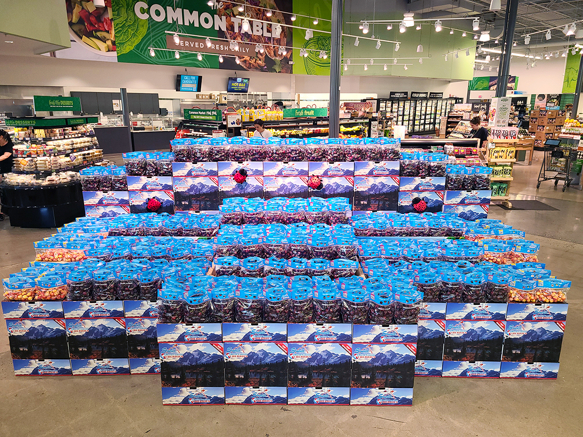 Fresh perspective: Dynamic displays provide merchandising inspiration ...