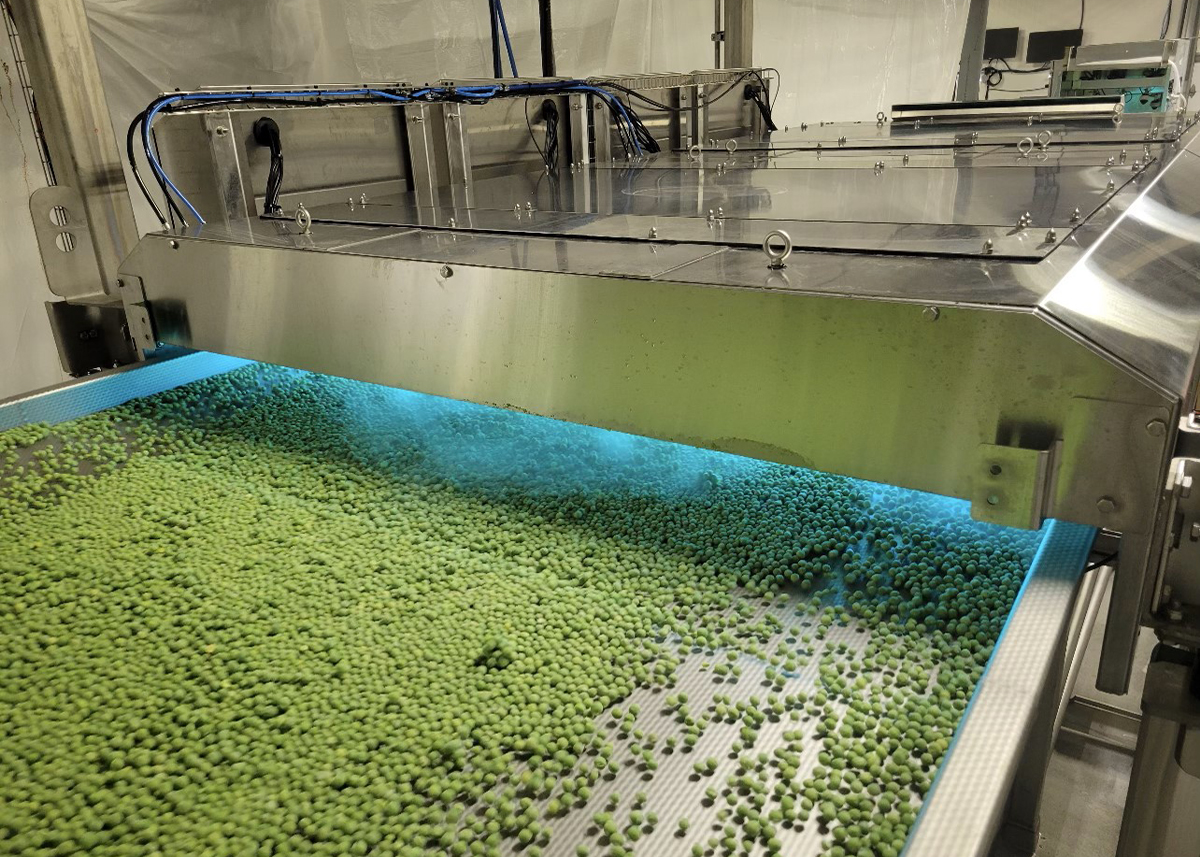 Clean Works disinfects produce with waterless food safety technology ...
