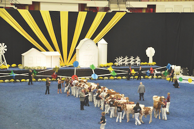 World Dairy Expo: A Showring that Dazzles | Dairy Herd