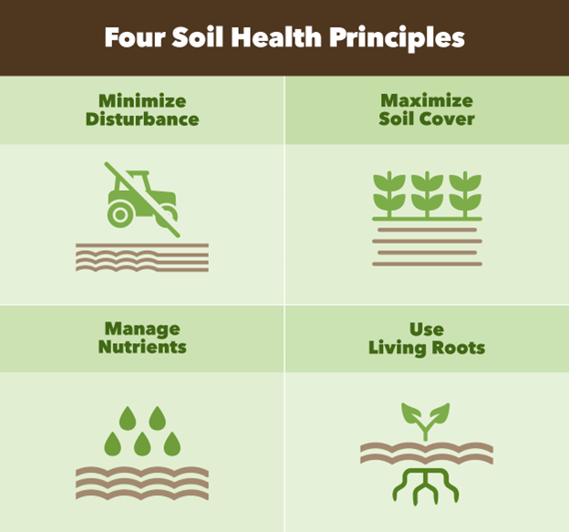 3 Steps to Healthy Soil | AgWeb