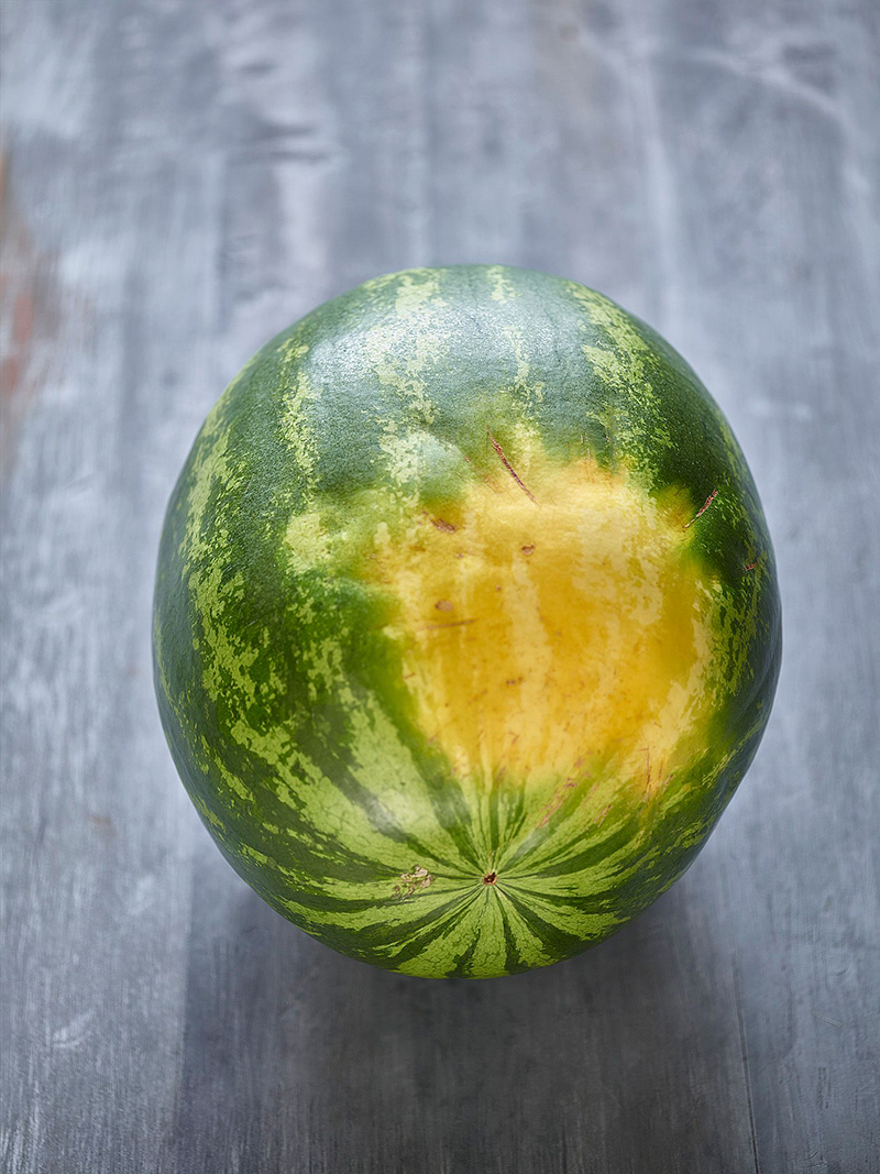 Ripe or not? Solving the perfect melon puzzle | The Packer