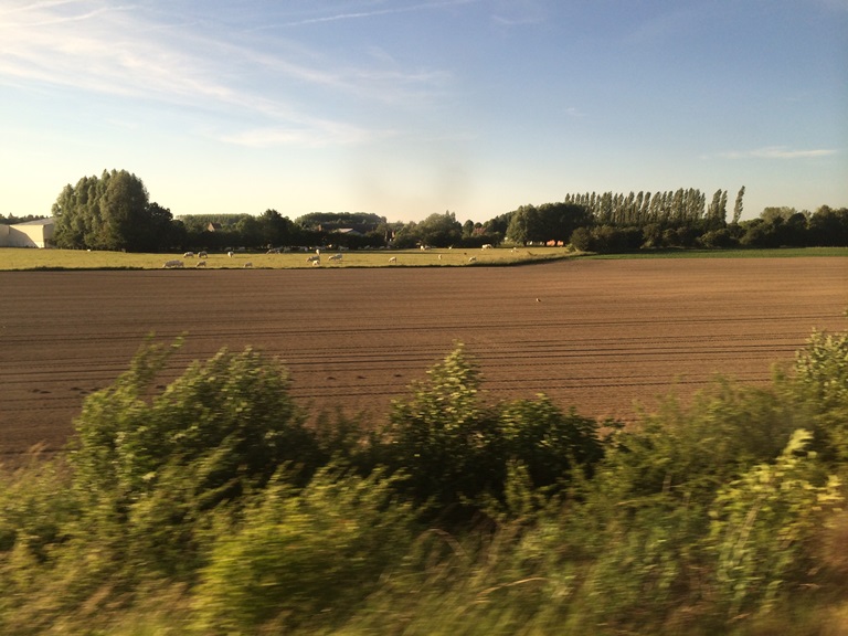 A Look at European Crop Production | AgWeb