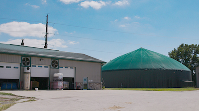 Technology Fuels Sustainability at Homestead Dairy | Dairy Herd