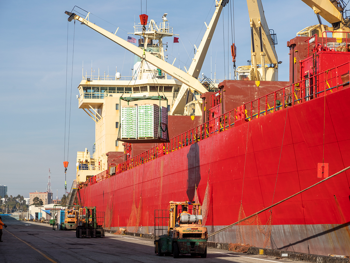 How ports are growing to fit an expanded role | The Packer