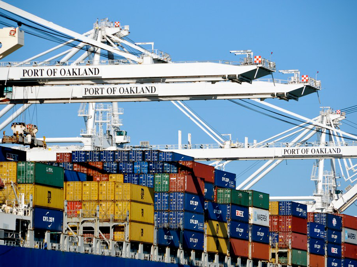 How ports are growing to fit an expanded role | The Packer