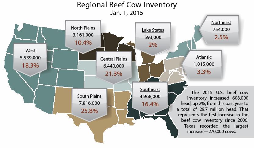 Cow Herd Expansion Becomes Reality | Drovers