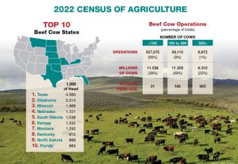 Smooth Ag Announces Ranch Rover | Drovers