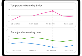 Management is Key to Successful Overstocking | Dairy Herd