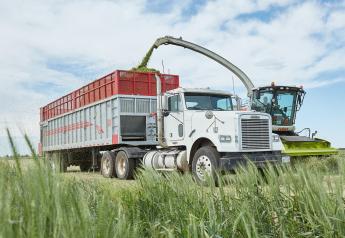 Management is Key to Successful Overstocking | Dairy Herd