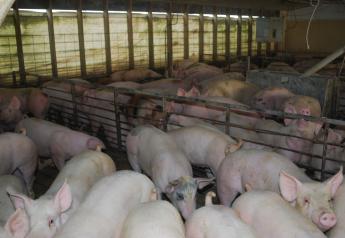 Ag Grain Commodity Markets, Prices & Futures | Pork Business