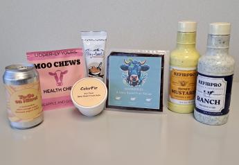 Management is Key to Successful Overstocking | Dairy Herd