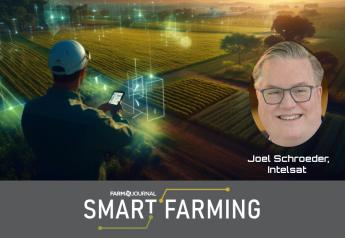 Ag Grain Commodity Markets, Prices & Futures | AgWeb