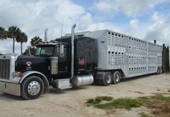 Management is Key to Successful Overstocking | Dairy Herd