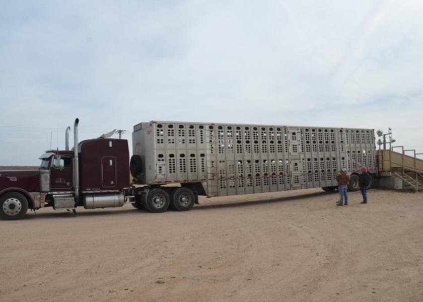 More Hours Of Service Fixes For Livestock Haulers Offered By Congress More Hours Of Service Fixes For Livestock Haulers Offered By Congress