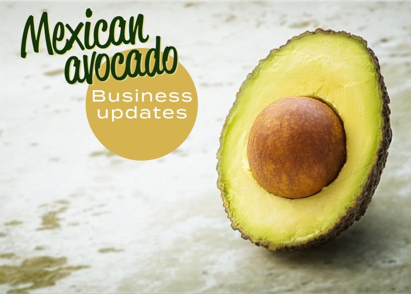 Mexican avocado business updates | The Packer