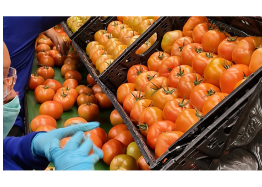 Mexican greenhouse grower signs on with IFCO | The Packer