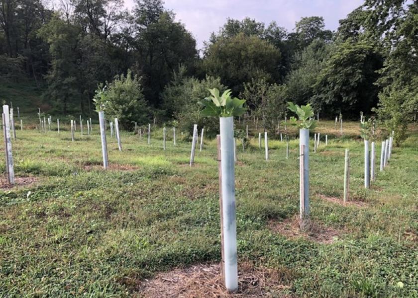 Securing the Freedom to Farm—With Allies To Help | AgWeb