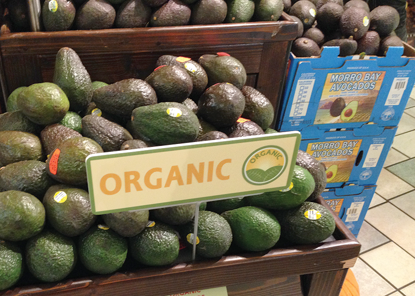 California organic avocados trending above category | The Packer