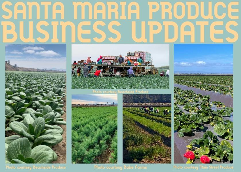 Santa Maria produce business updates | The Packer