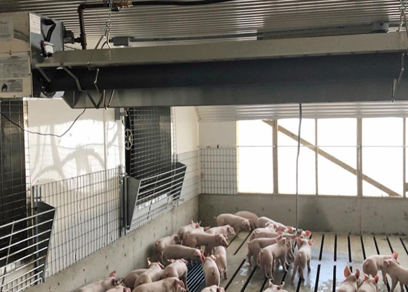 Tube Heaters for Weaned Pigs | Pork Business