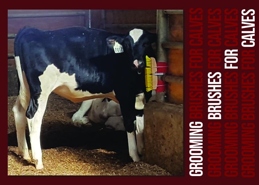 Youngstock Love Grooming Brushes, Too | Dairy Herd