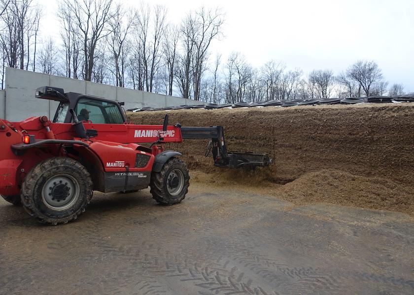 Back Off BMR After Transition? | Dairy Herd