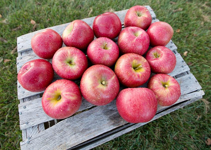 How Michigan fruit and vegetable production packs a punch | The Packer