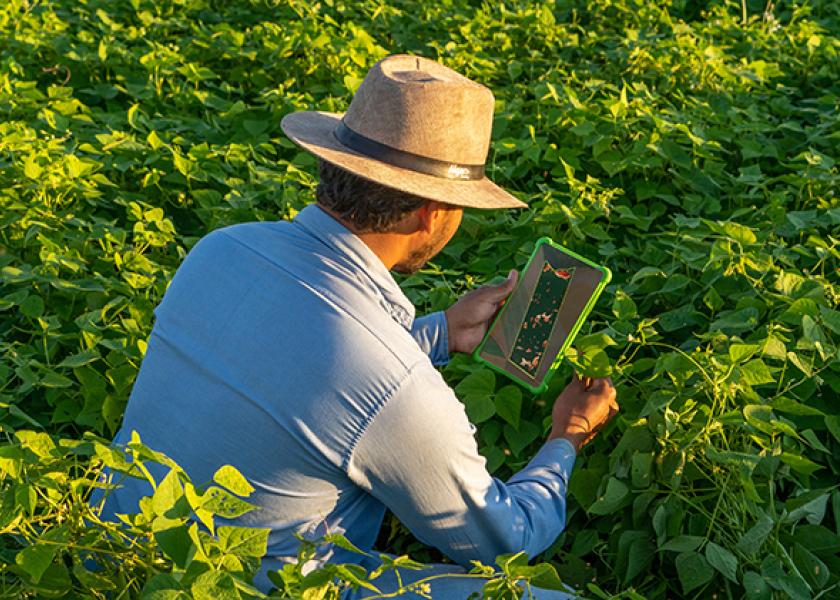 Syngenta aligns ag standard with insights tool to improve ...