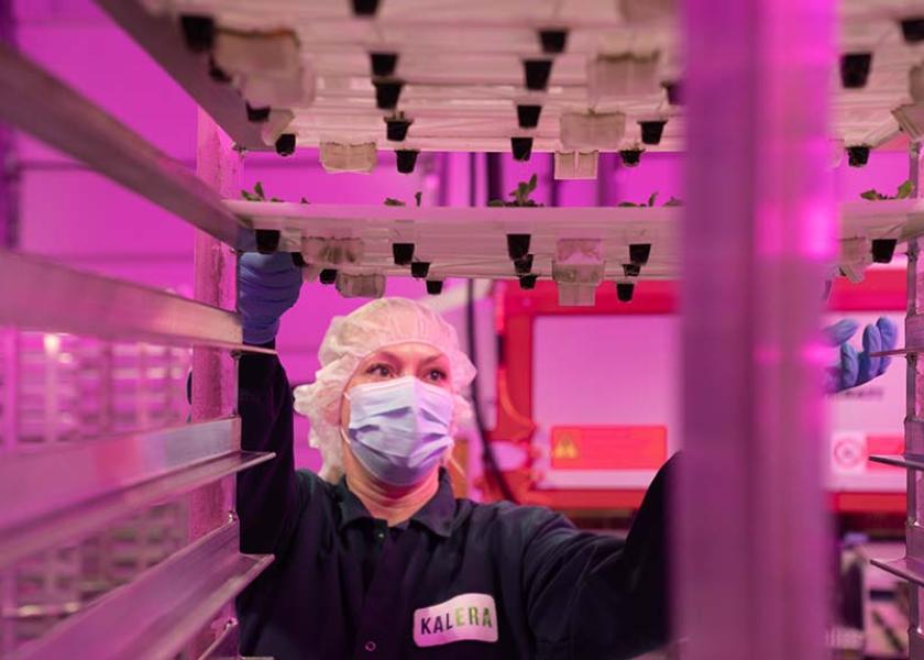 In the heights: Q&A with Kalera CEO Jim Leighton | The Packer