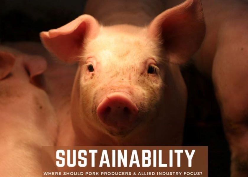 Sustainability: Where Should Pork Producers and Allied Industry Focus ...