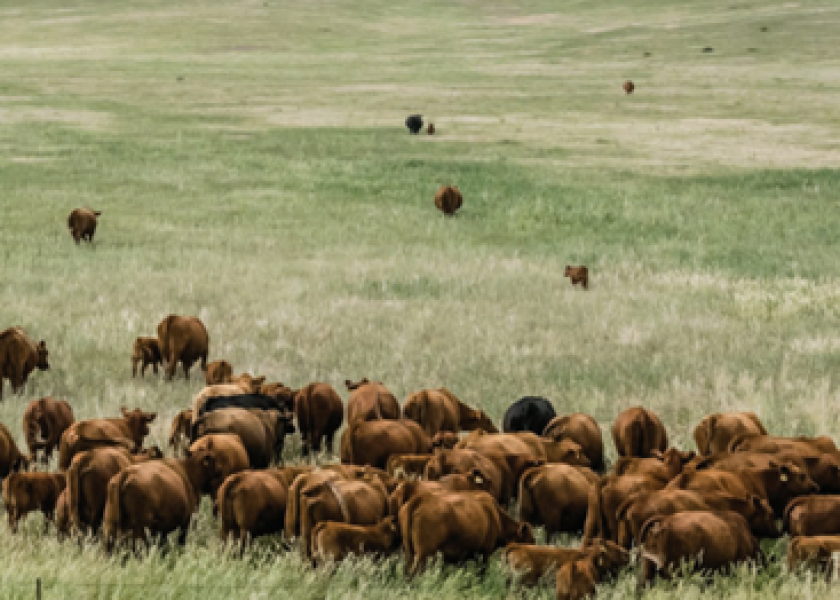 Society for Range Management Further Defines Rangeland Ecosystem ...