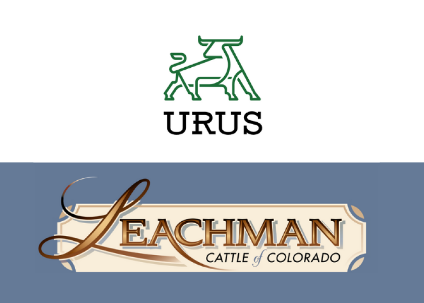 Leachman Cattle of CO Sells Majority Stake to URUS Group LP | Drovers