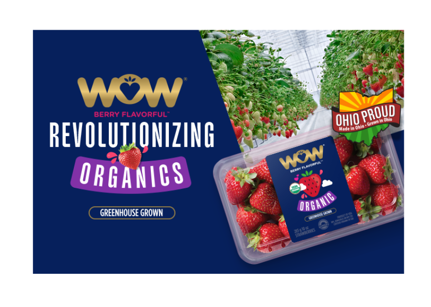 Sunset to launch Ohio-grown organic strawberries at IFPA show | The Packer