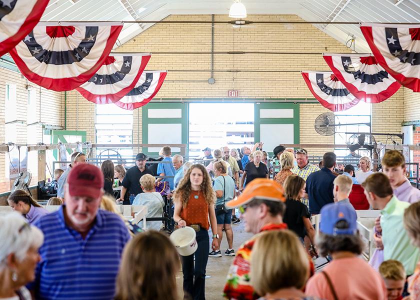 No, He’s Not a Buffalo: Why We Can’t Avoid Their Questions Anymore ...