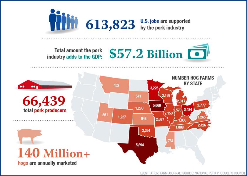 Raising the Bacon: Pork’s Powerful Impact on Economy and Communities ...