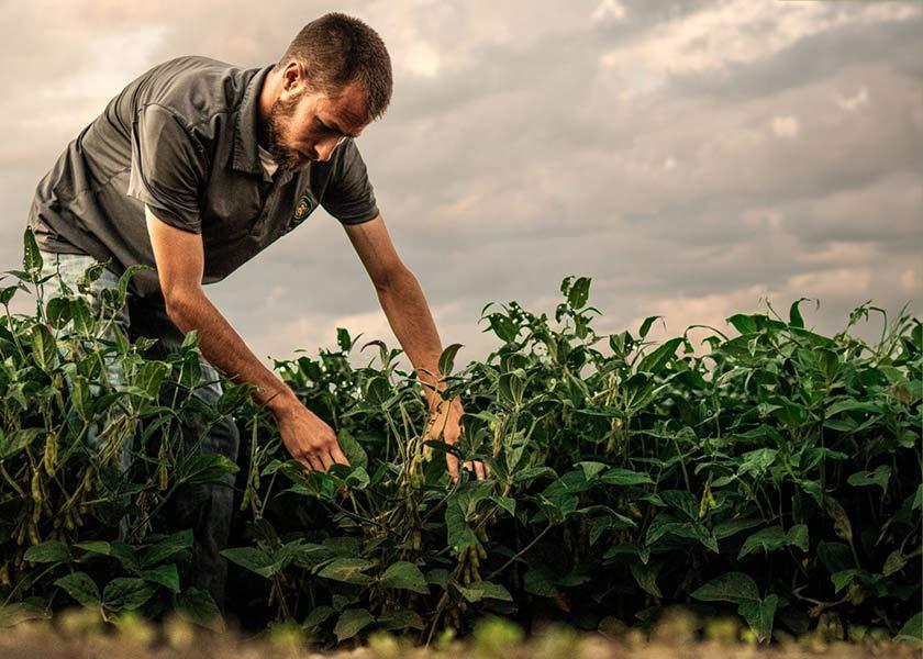 Corn and Soy Grower Boosts Production with Advanced Agrilytics Insights ...