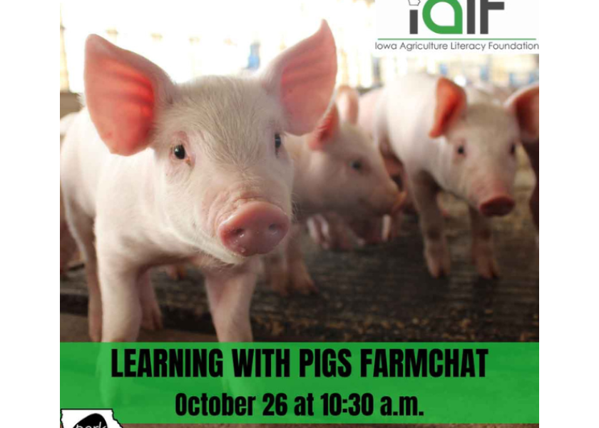 Iowa Elementary Students Invited on Virtual Journey to Explore Pig Farm ...