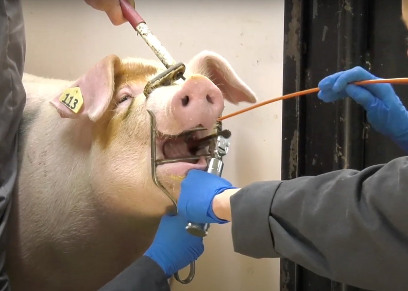 Study Uncovers Best Disinfectant to Avoid Sample Cross Contamination ...