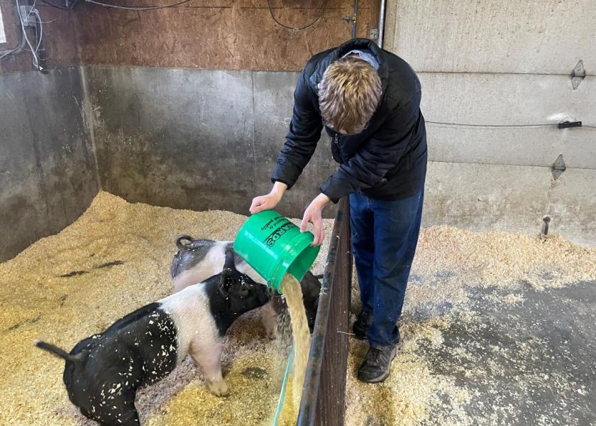 17-Year-Old Davis Howell Wins National FFA Swine Proficiency Award ...