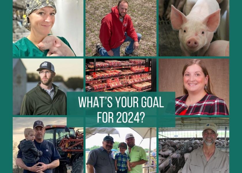 What's Your Goal for 2024? Pig Farmers Share Now | Pork Business