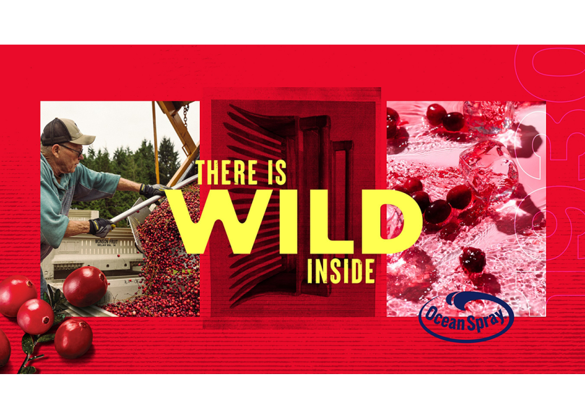 Ocean Spray Cranberries updates branding with 'uncommonly wild' look ...