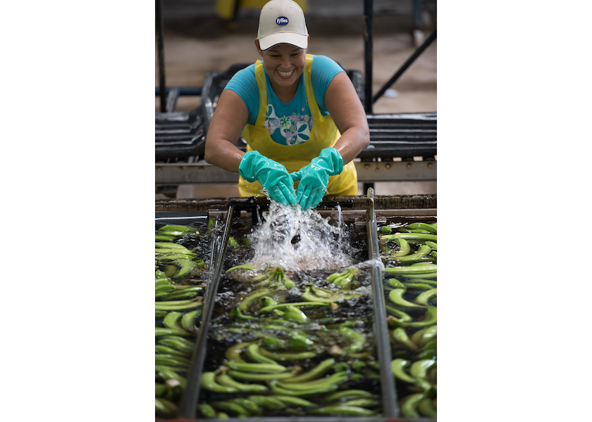 How Fyffes is emphasizing its organic banana segment | The Packer