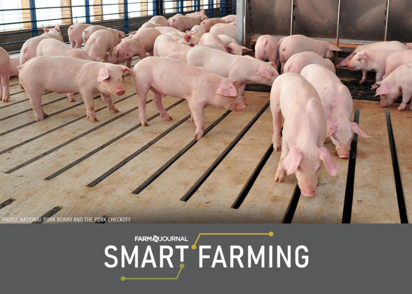 Keep Your Eyes Open: Ways to Reduce Wean-to-Finish Mortality | Pork ...