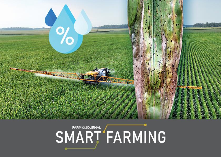 You Can't Afford to Be Complacent About Tar Spot | AgWeb